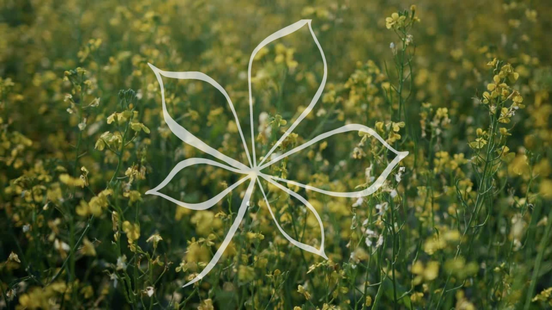 Chestnut Hub | Welcome