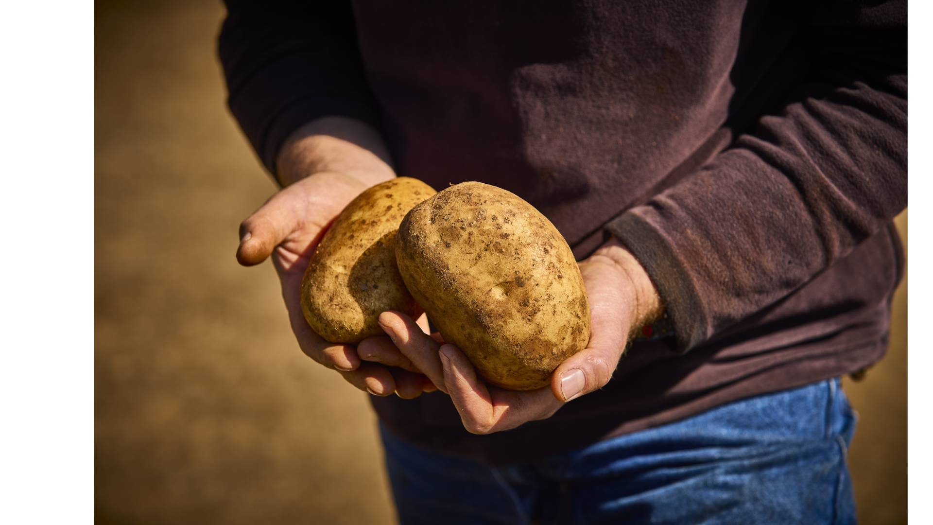 Best Spuddies | Welcome