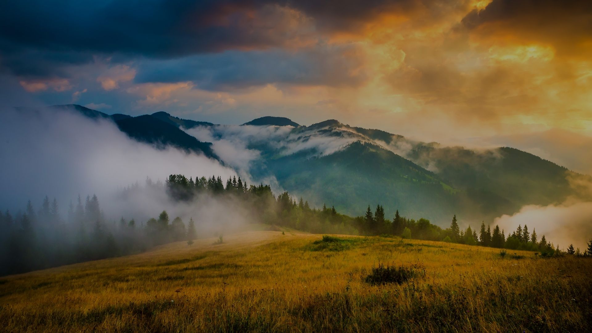 BPP Rewards | Sign in