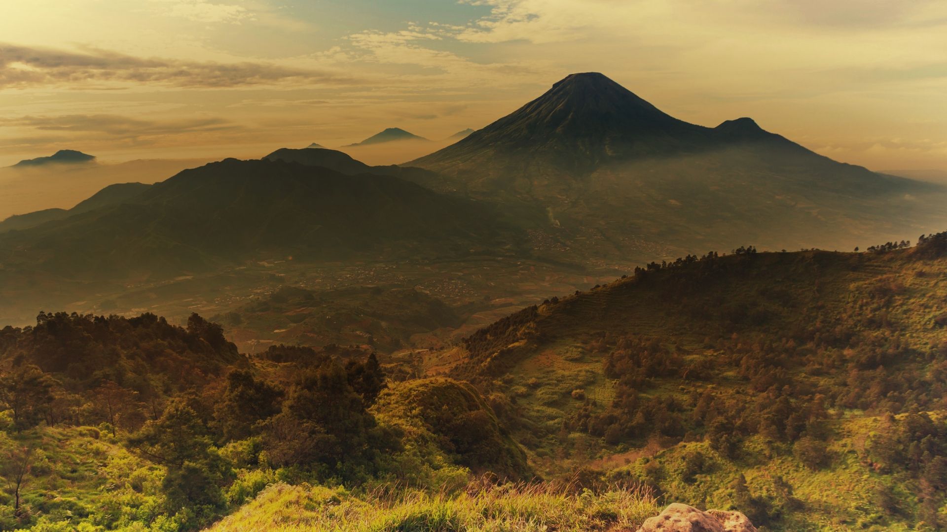 TRFS Rewards | Welcome